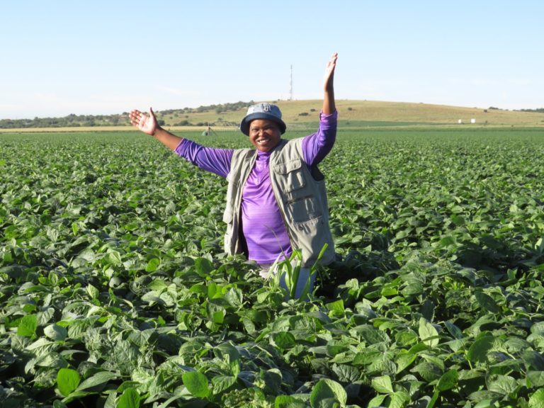 Dreamland Piggery and Abattoir – Working to feed a nation